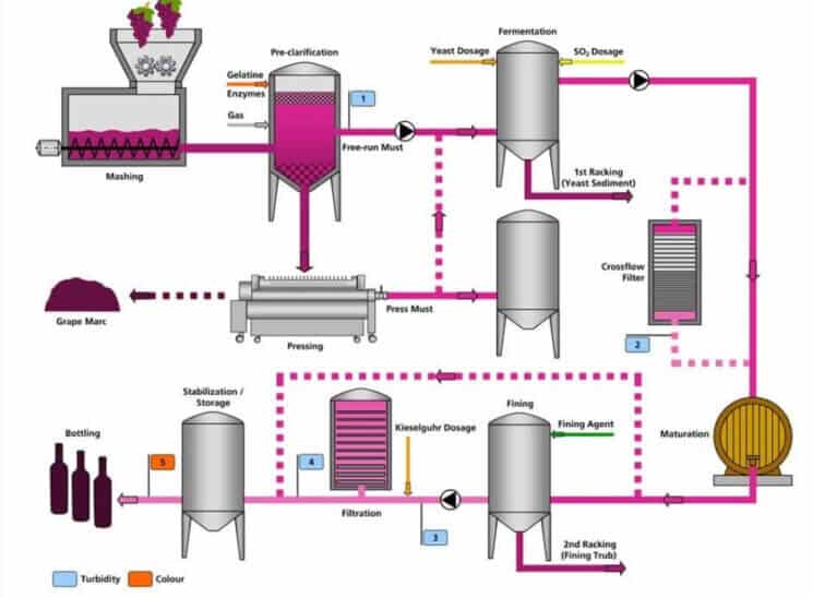 Proceso De Vinificación Del Vino Tinto